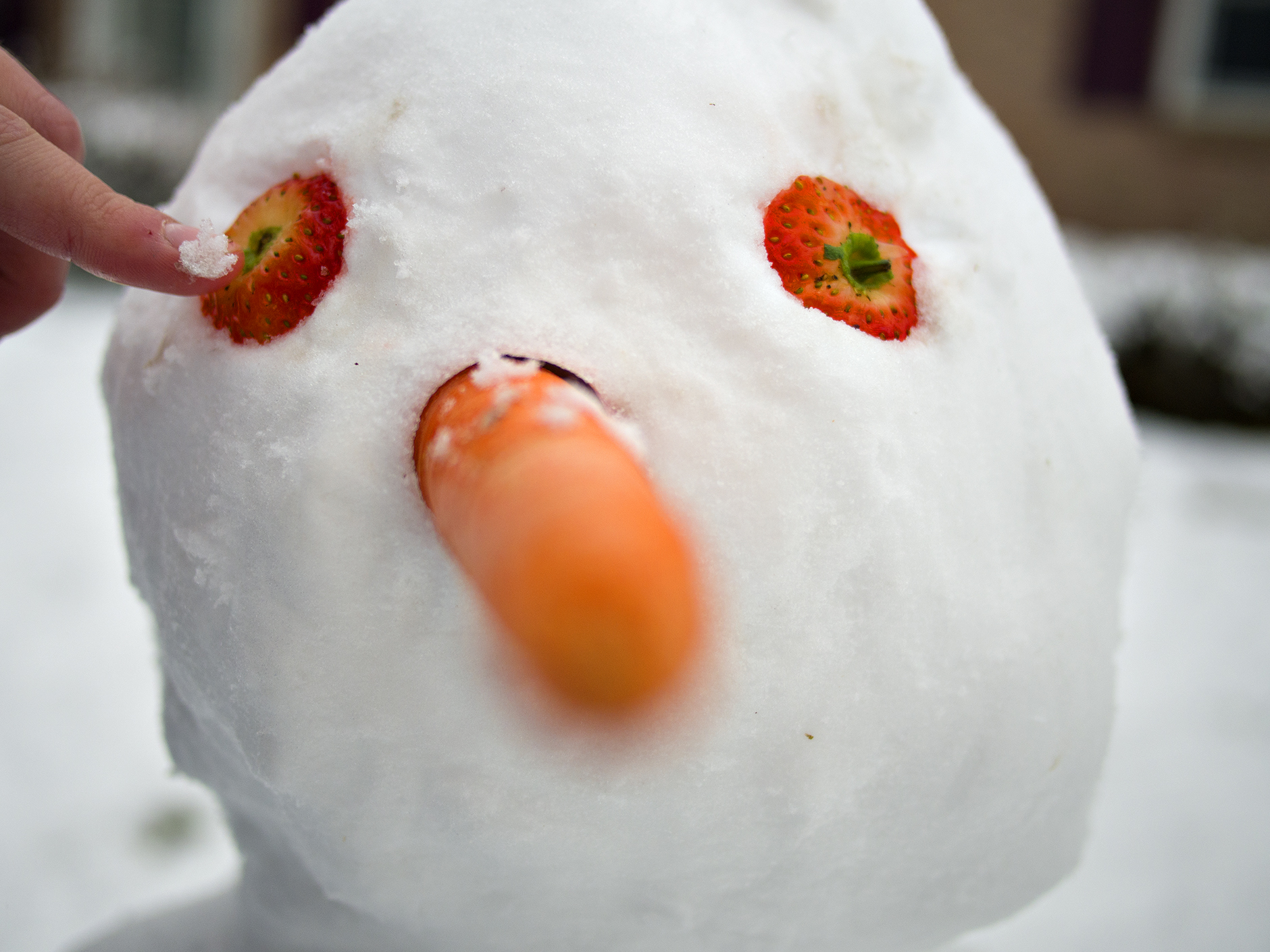 Tasty snowman | A day A Photo