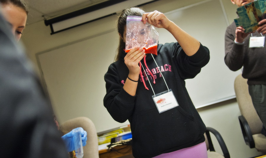 Strawberry guts | A day A Photo