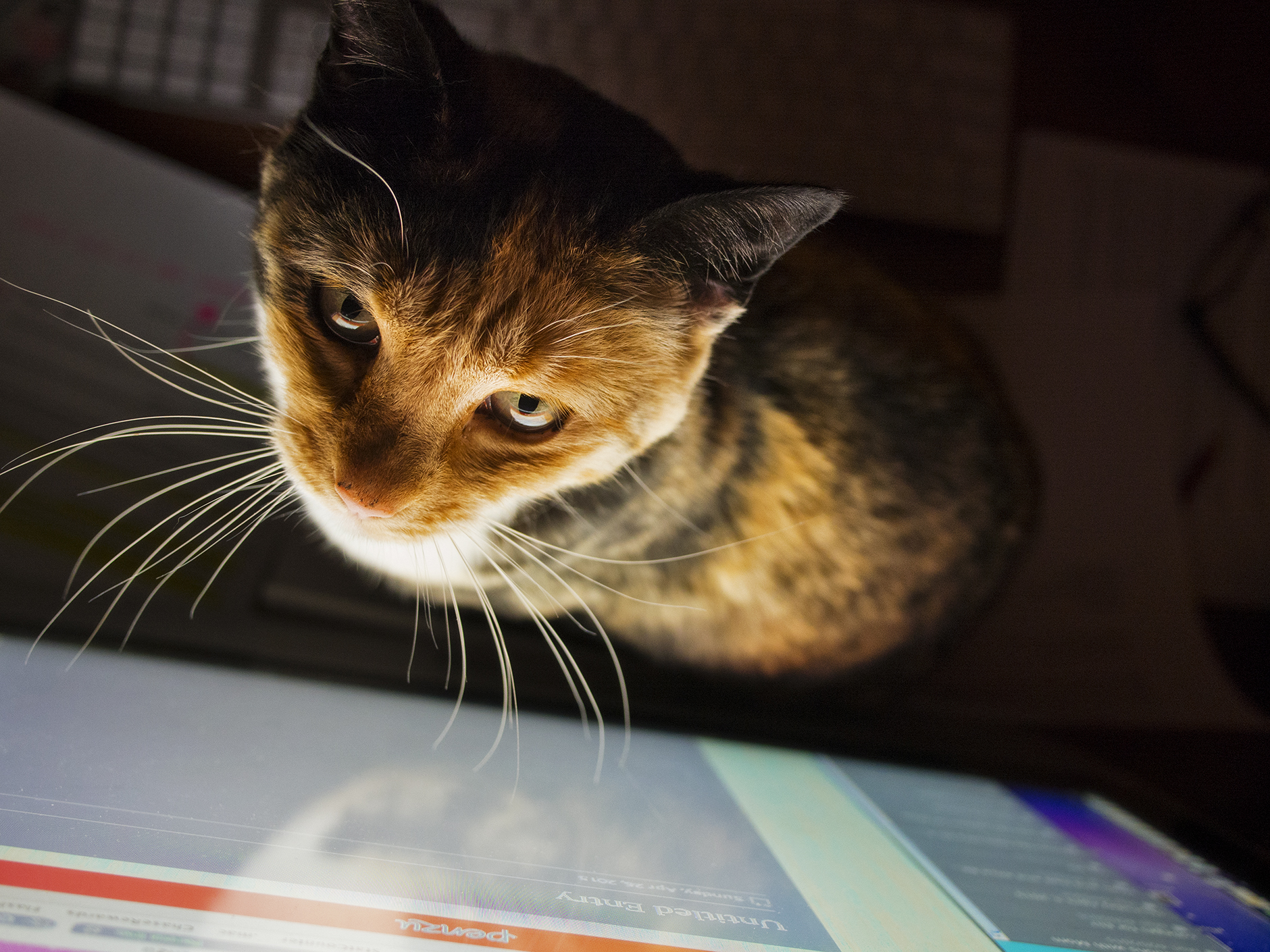 Helping edit | A day A Photo