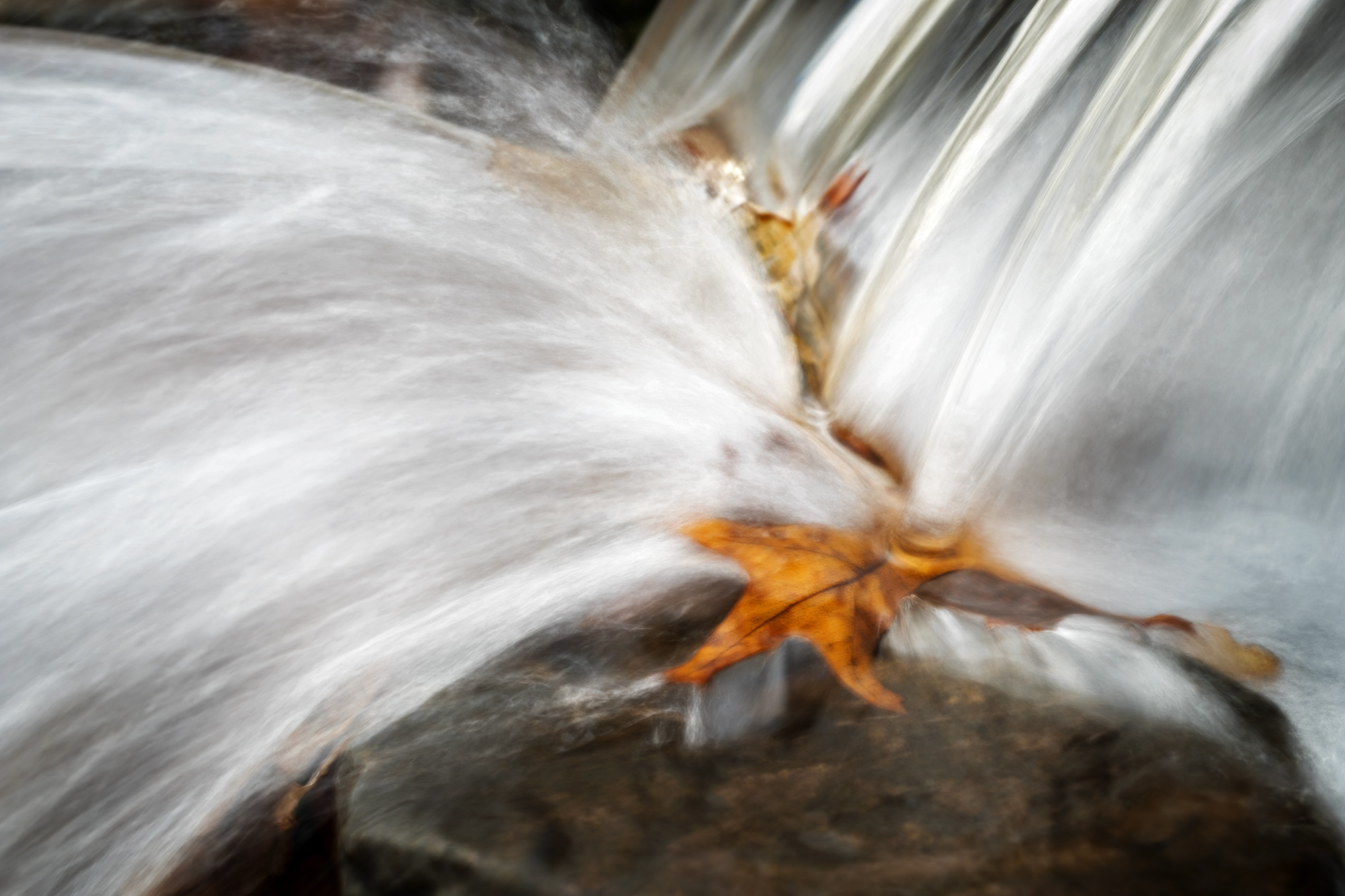 In the slow blink of an eye | A day A Photo