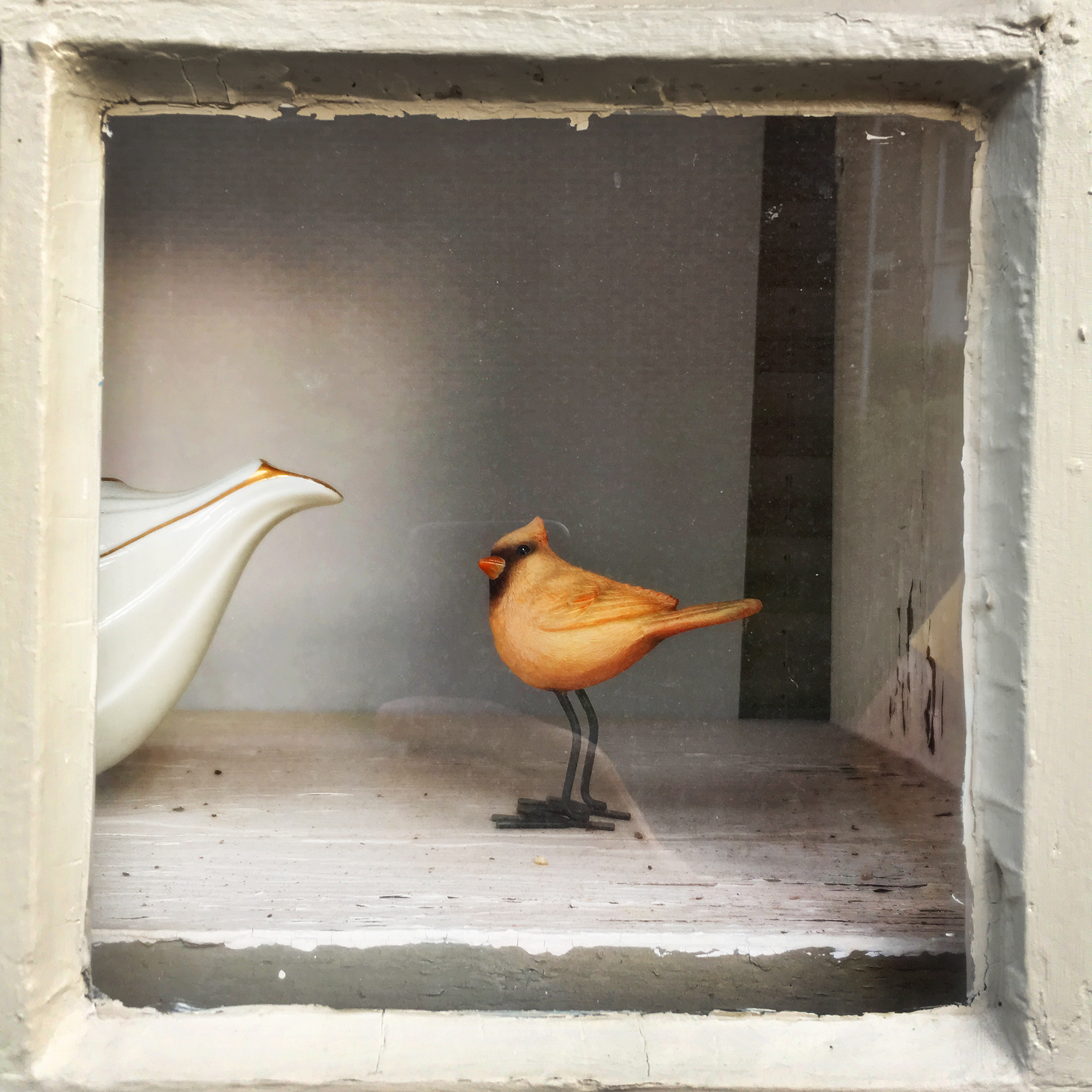Bird and teapot | A day A Photo