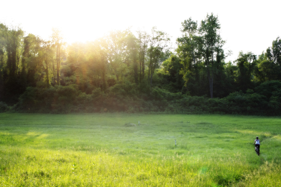 Blue trail | A day A Photo