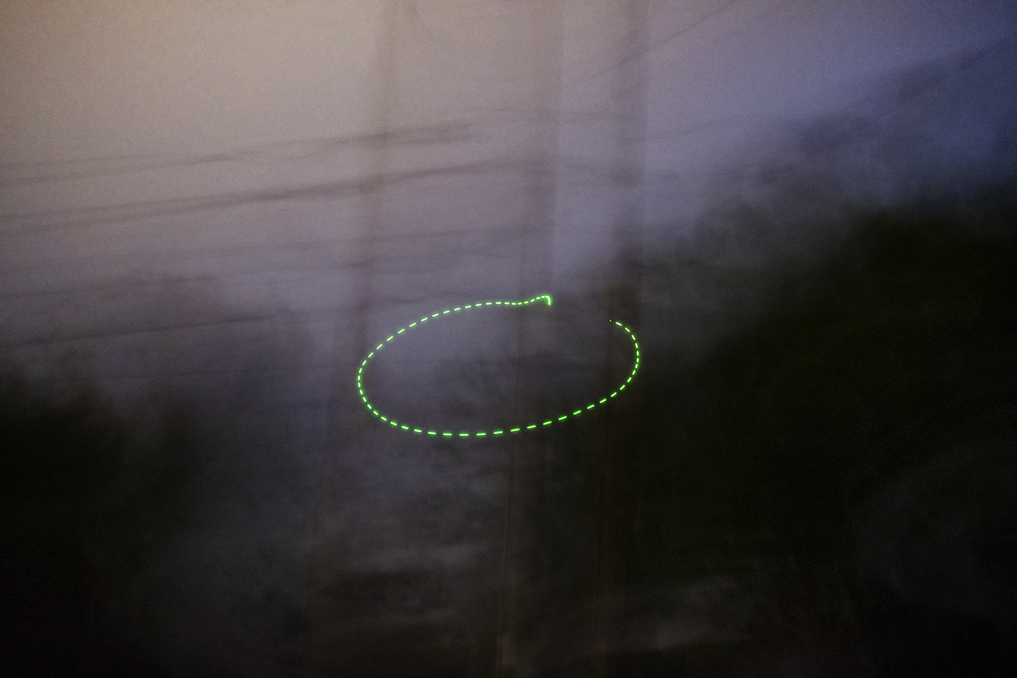 Of dog walks and slow shutter speeds | A day A Photo