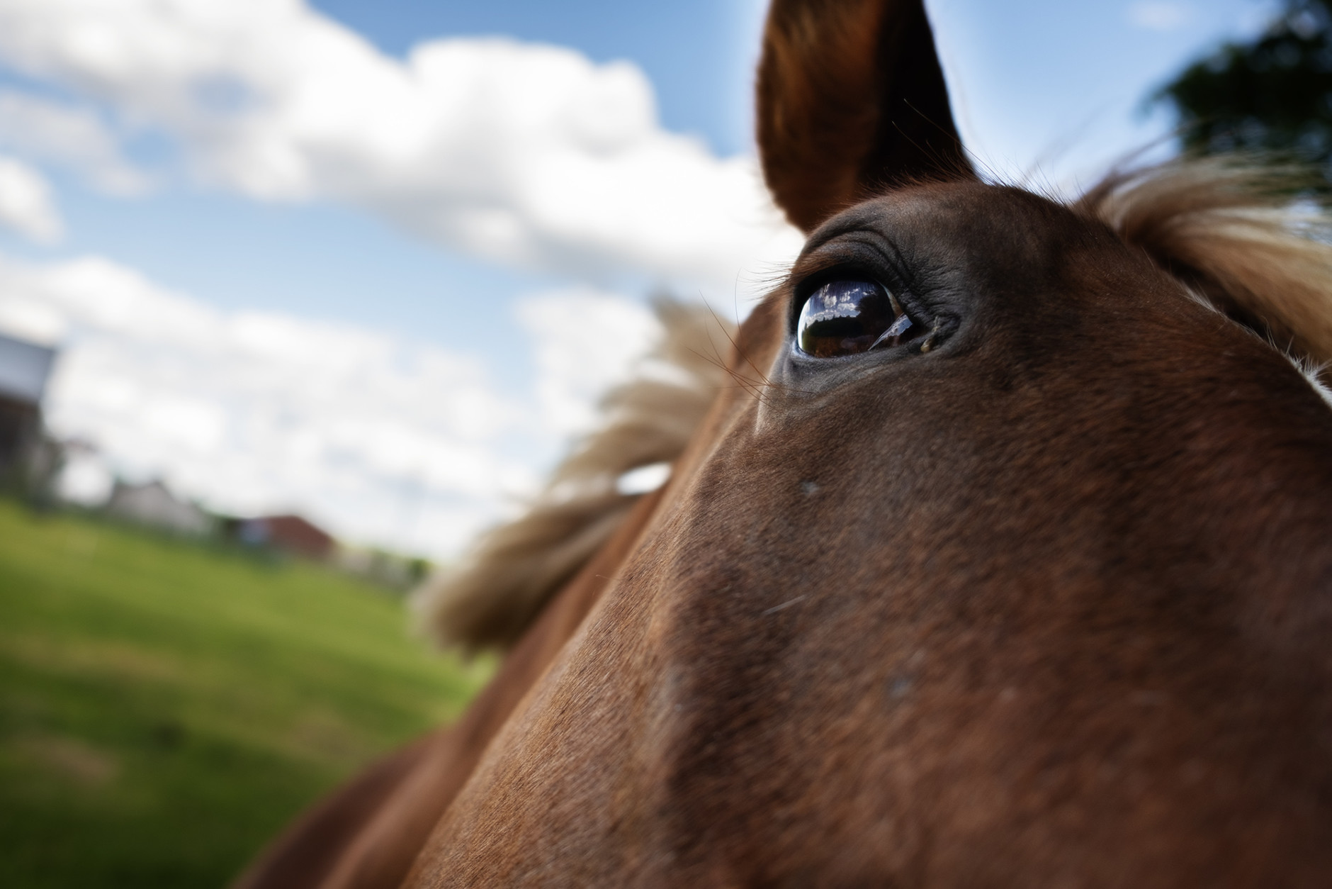 Hello, hello again | A day A Photo