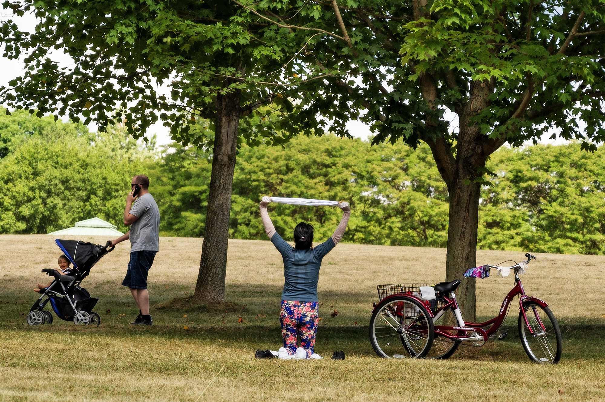 Everyone is busy | A day A Photo