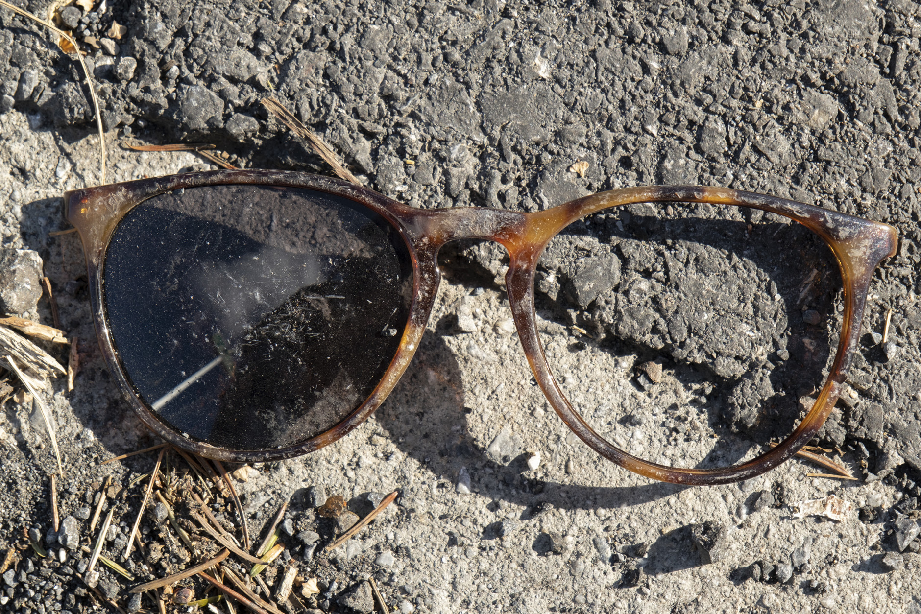 Found things | A day A Photo