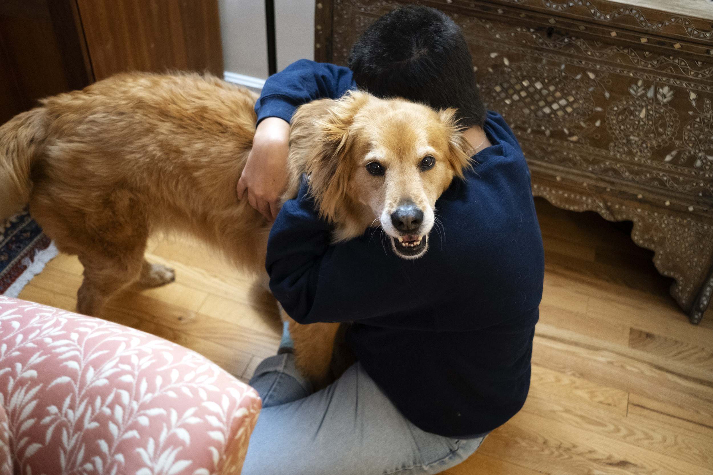 Welcome home Auden | A day A Photo