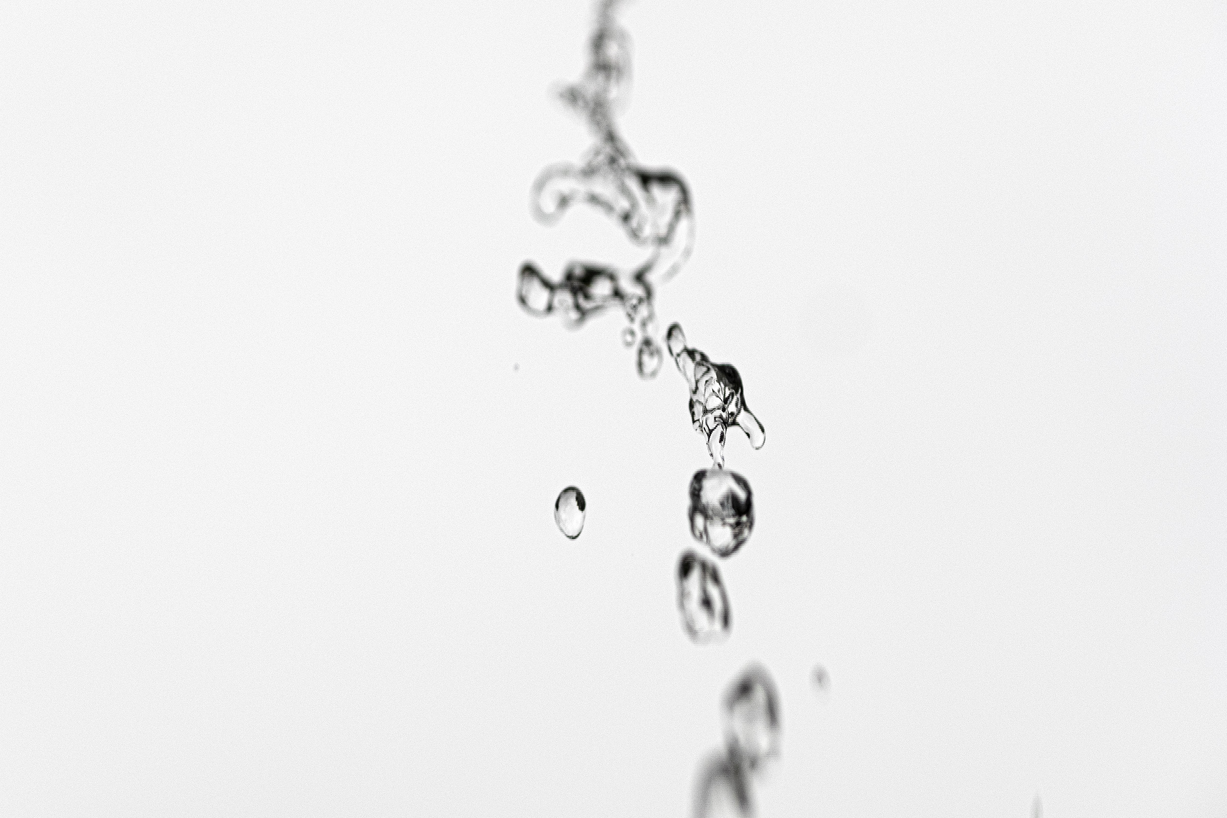 Too wet, too cold, too Sunday to go anywhere | A day A Photo