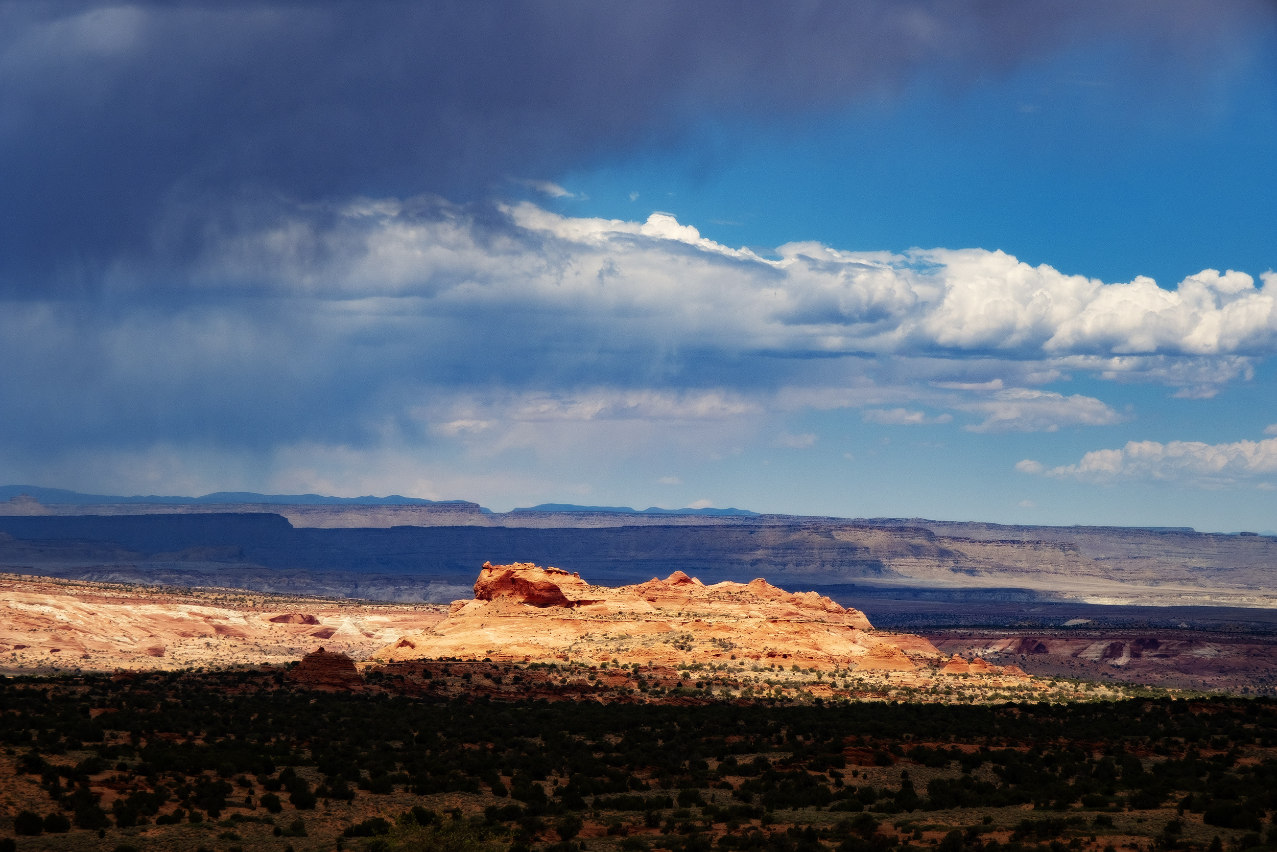 It’s much prettier than it looks | A day A Photo