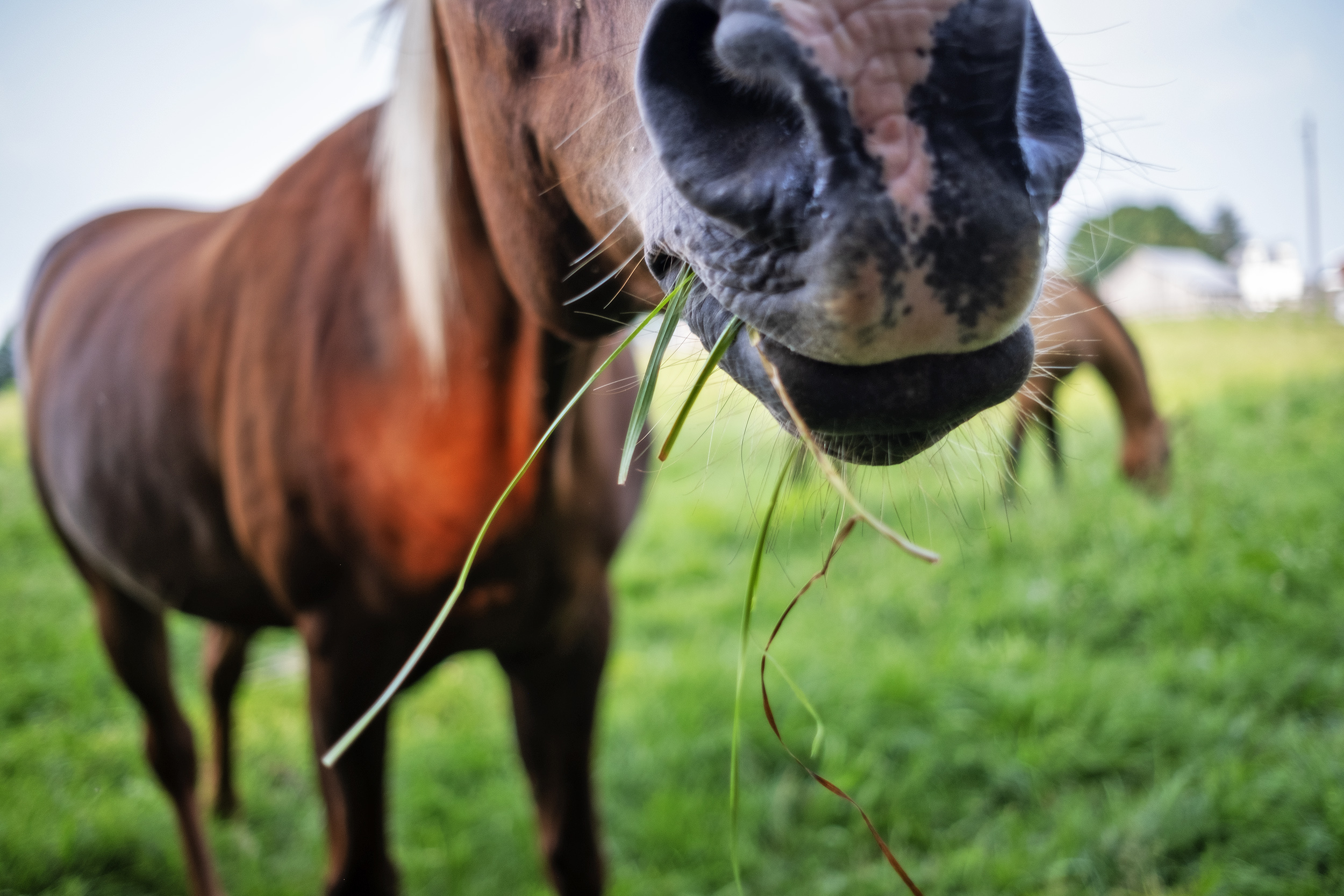 Chow time | A day A Photo