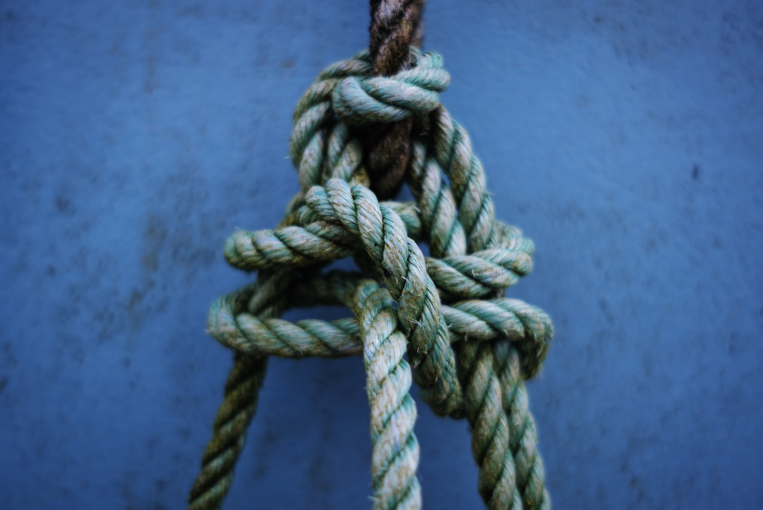 It’s knot | A day A Photo