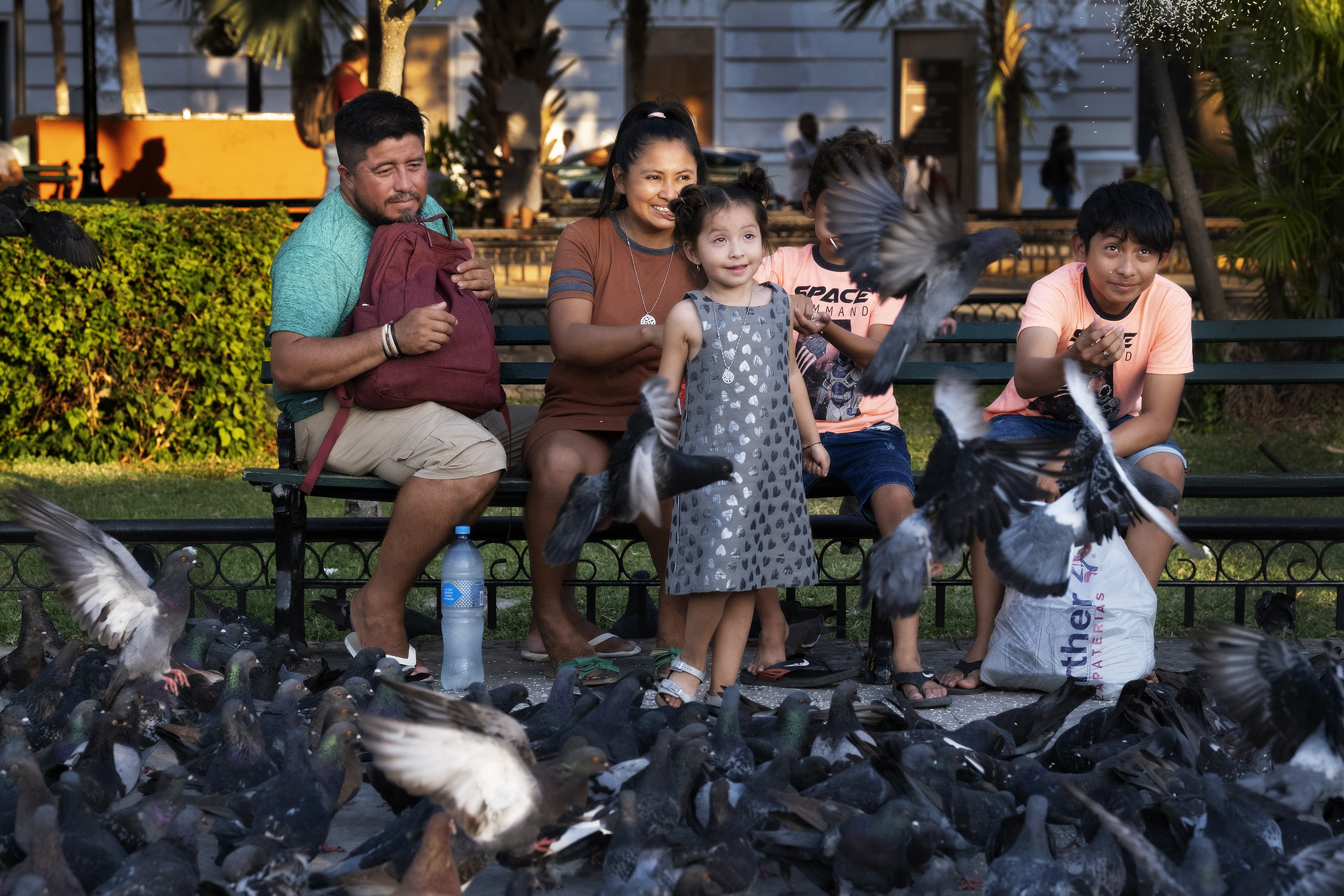 Birds of play | A day A Photo