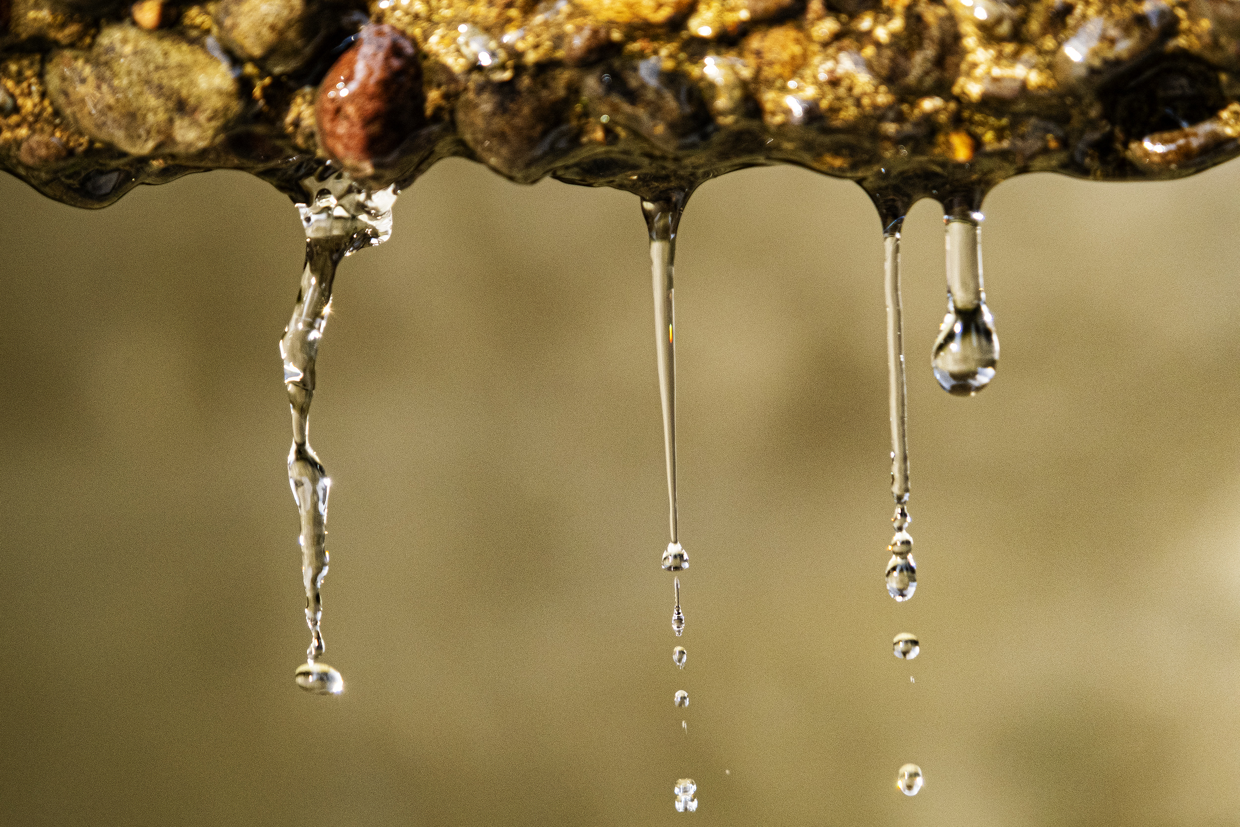 Drip, drip, drip, etc. | A day A Photo
