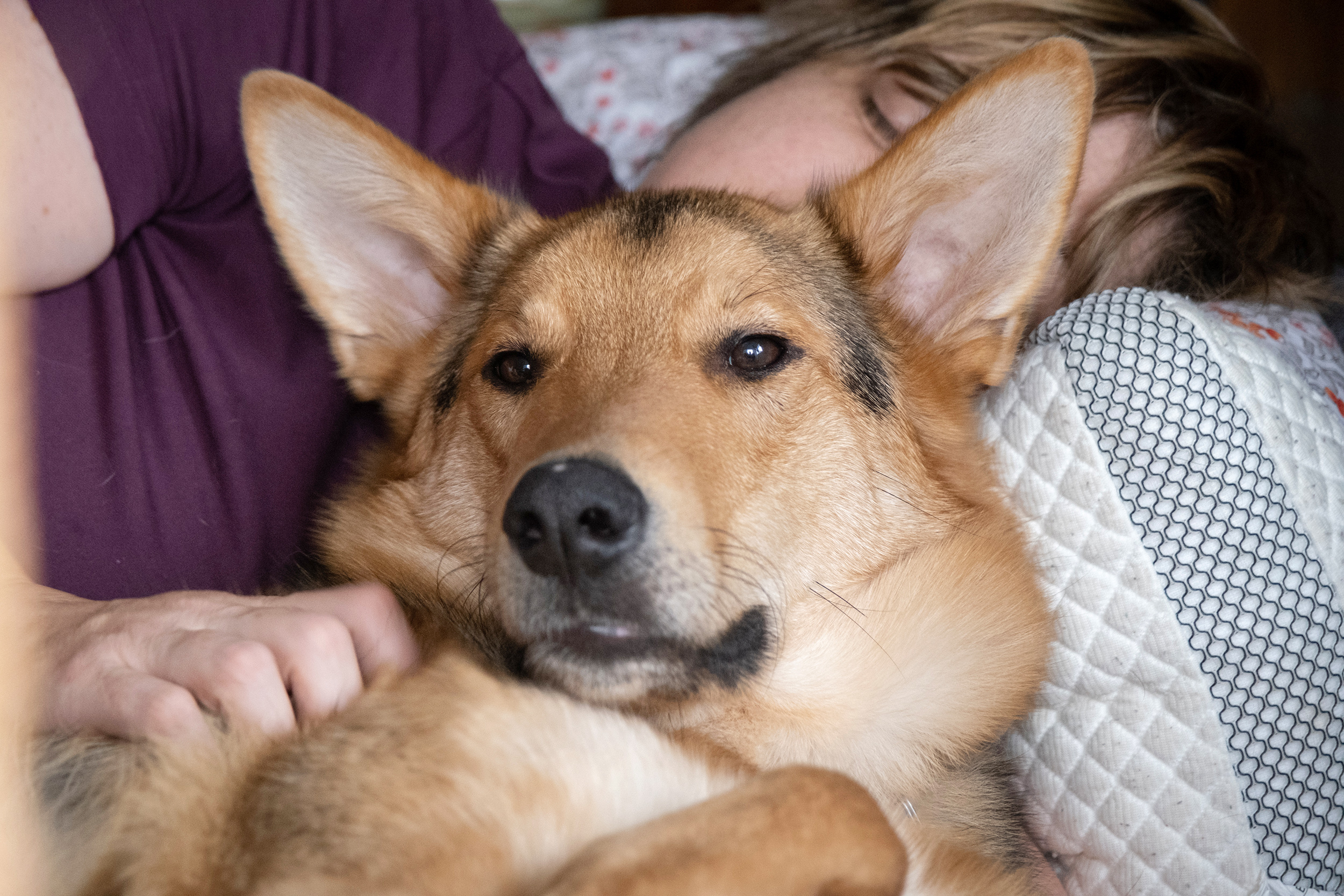 Sunday snuggles | A day A Photo