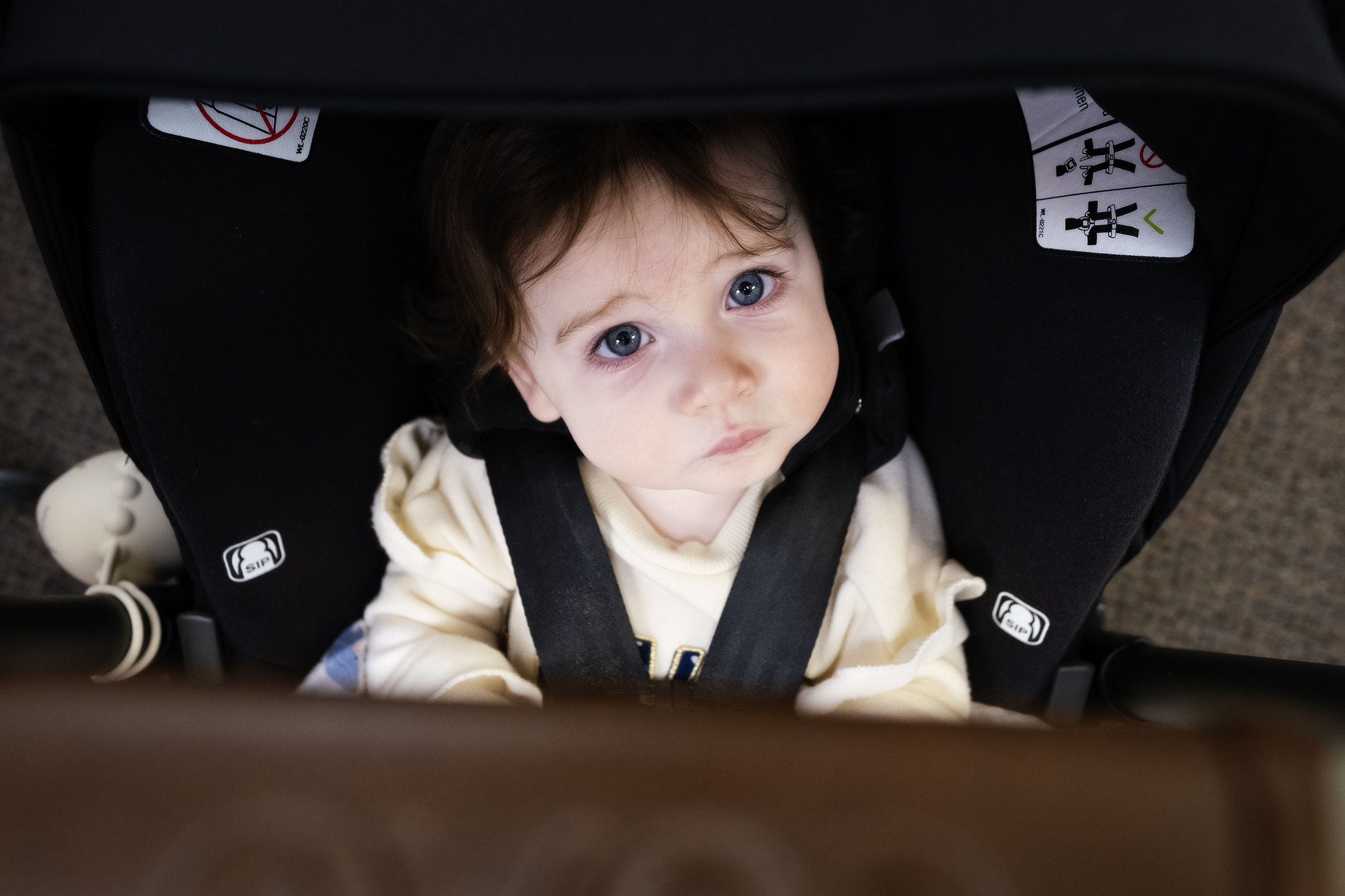 Moments later, fast asleep | A day A Photo