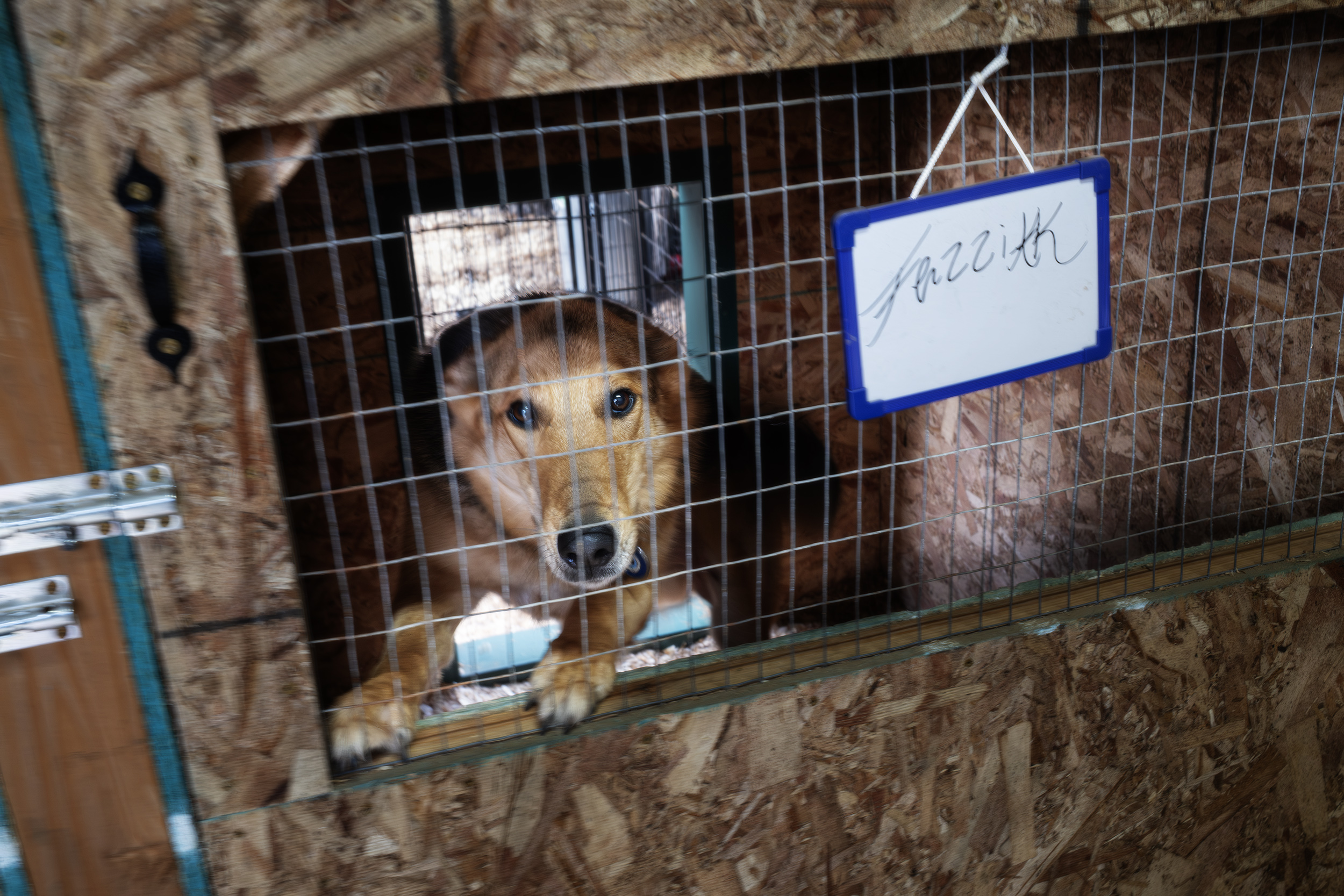 “I’m comin’ home, I’ve done my time” | A day A Photo