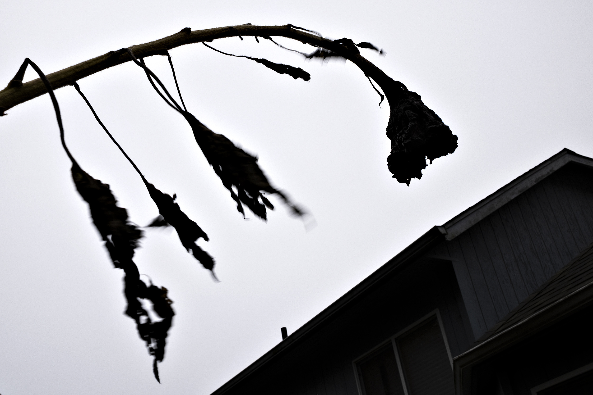 A grey, rainy, windy day best spent inside grading | A day A Photo